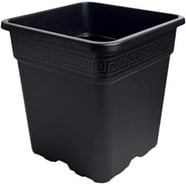 Panacea 83545 Square Quatrefoil Floor Planter With Coco Liner, Black ...