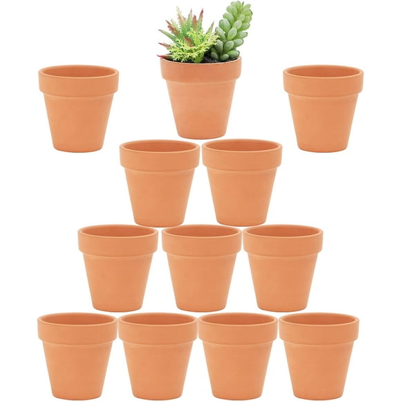 2 Inch Pots