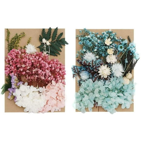 Dried Flower Set, 2 Pieces Natural Mixed Pressed Flower Leaves, Dry ...
