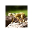 Safari 100237 Serval Figurine Multi Color - Walmart.com