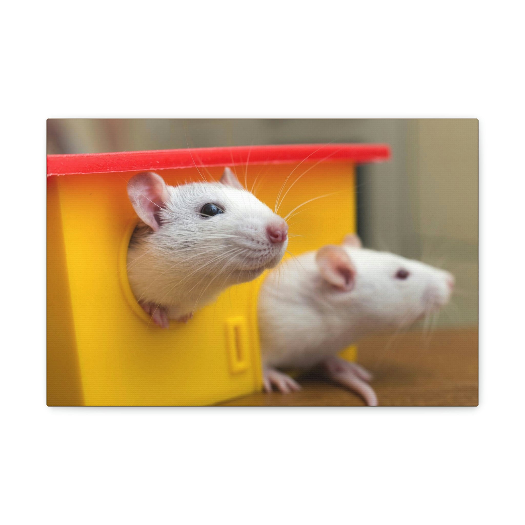 Funny Rat Couple of Silly Rat Inside Wall Art Ready to Hang Unframed ...