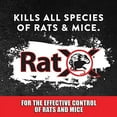 EcoClear Products 620101, RatX All-Natural Poison Free Humane Rat and ...