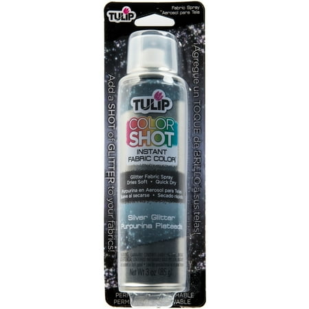 Tulip Color Shot Instant Fabric Color Spray 3oz-Silver Glitter ...