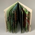 A Walk Through the Woods, (Hardcover) - Walmart.com
