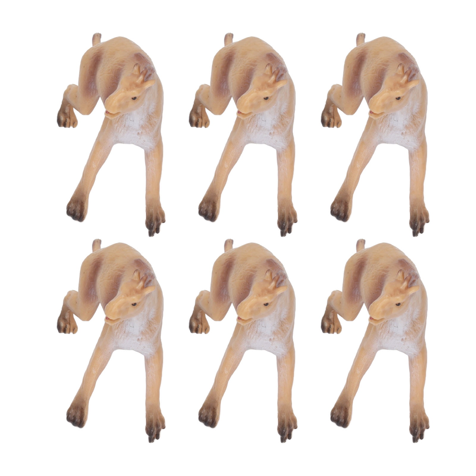 Moropus Size