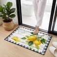 Doormat Bathroom Rugs 24x35in, Farm Watercolor Lemon Fruit Non Slip ...