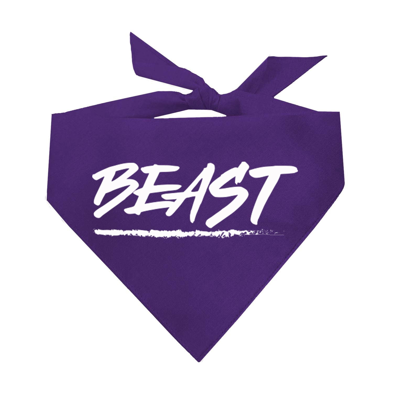 Beast Triangle Dog Bandana - Walmart.com
