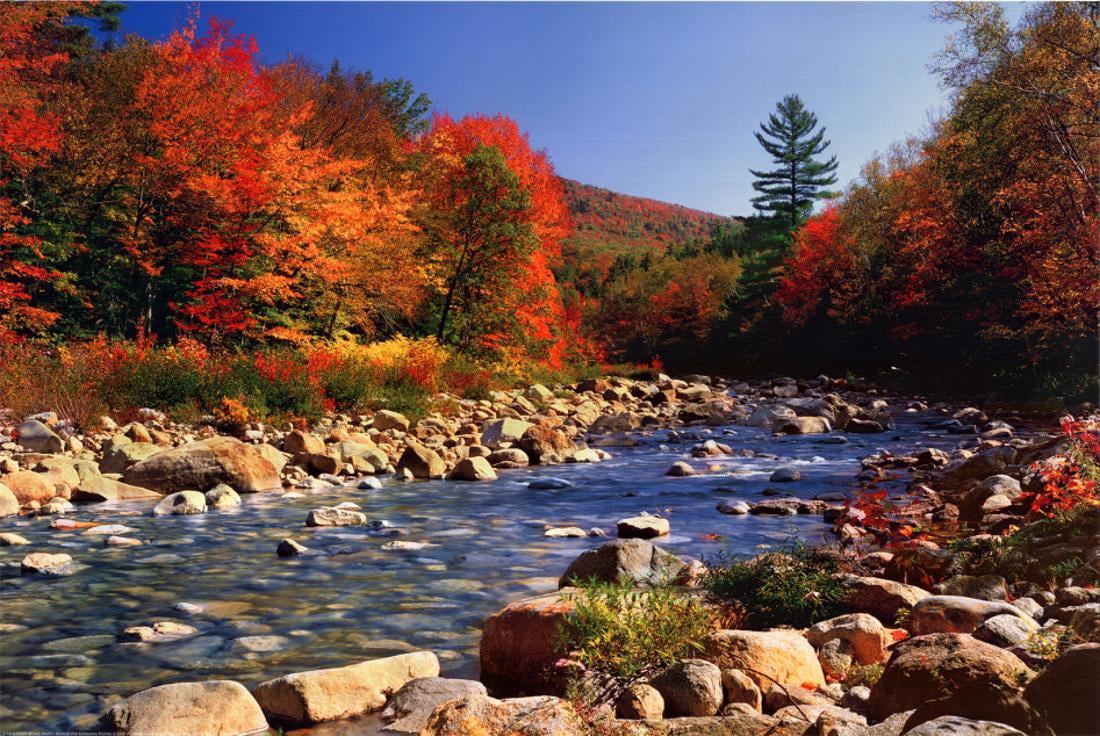 Autumn Brook Poster 36x24 Sold by Art.Com - Walmart.com
