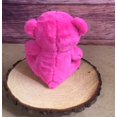 Paradise Pink Cuteness: 9-Inch Paradise Pink Colorama Plus+ Bear ...