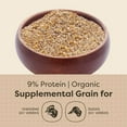 Scratch and Peck Feeds Organic Scratch + Corn, 9% Protein - Premium ...