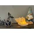 Contrast 8 inch Resin LED Conch Shell Accent Lamp Nautical Table Light ...