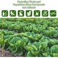 10x15Ft Plant Covers Ultra Fine Mesh Netting Pest Barrier Protection ...