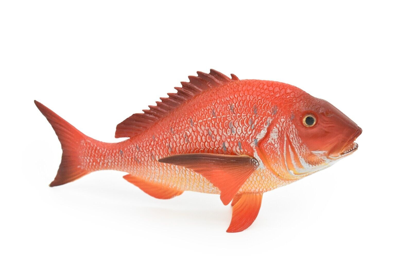 Red Snapper, Toy, Fish, Onaga, Rockfish, Very Realistic Rubber Figure ...