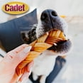 Cadet Chewalicious Chewy 'N Crunchy Rawhide-Free Natural Braids Chicken ...