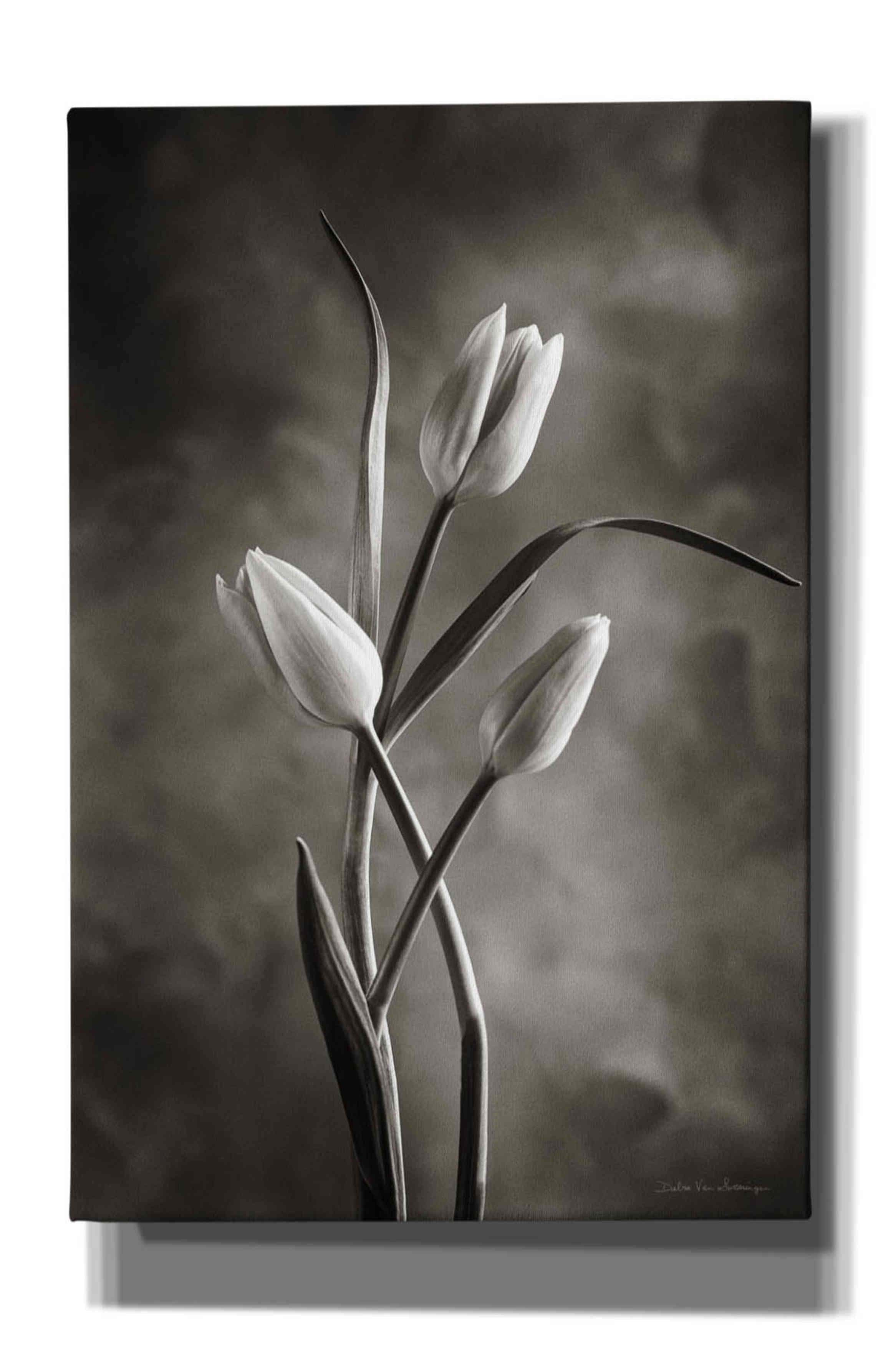 Epic Graffiti 'Two Tone Tulips VII' by Debra Van Swearingen, Canvas ...