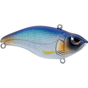 Spro SAS60BSR Aruku Shad Jr. Lipless Crankbait 2" 3/8 oz Blue - Walmart.com