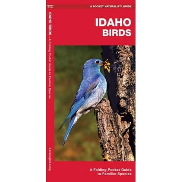 Pocket Naturalist Guides: Colorado Birds: A Folding Pocket Guide to ...