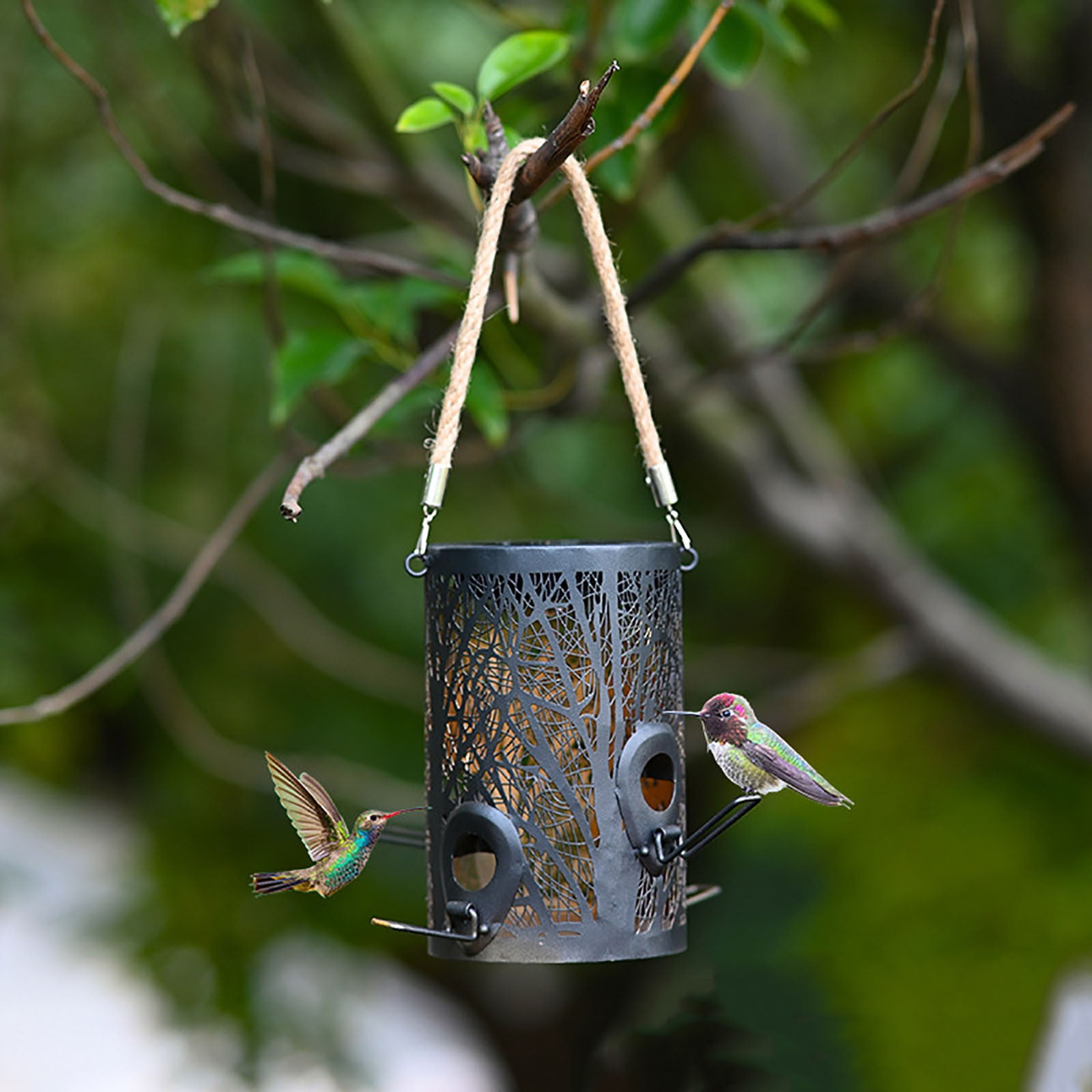 Rkstn A Feeder Hanging Automatic Bird Feeder Hummingbird Feeder Solar Light Hollow Iron Outdoor Feeding Garden Decoration 4.72×4.72×7.09