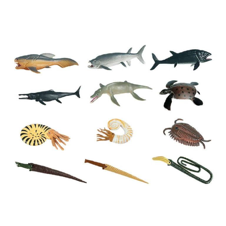 Prehistoric Marine Life