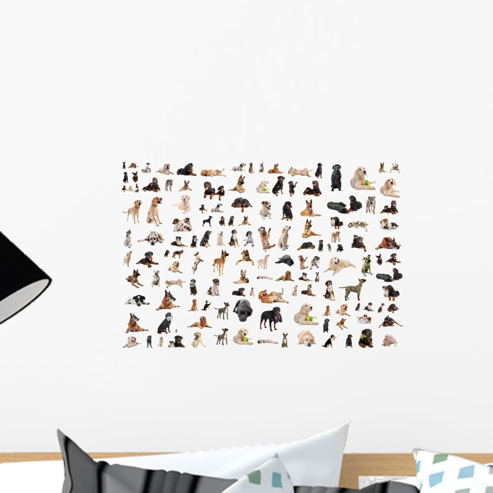Group Purebred Dogs Wall Mural by Wallmonkeys Peel and Stick Graphic ...