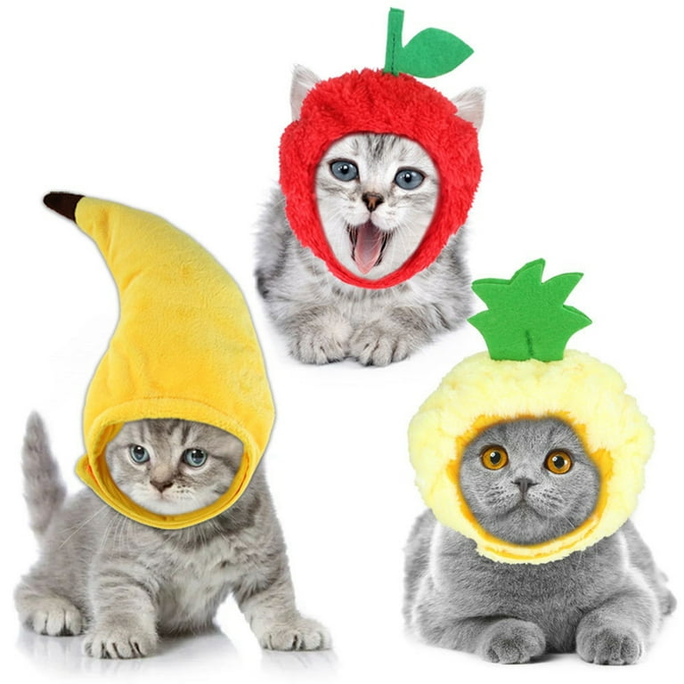 Funny Cats In Hats