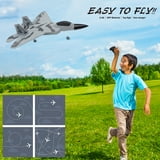 Fisca Remote Control Jet for Kids Adults with 2 Batteries F22 Raptor RC ...