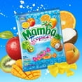 Needzo's Mamba Tropical Chewy Tasty Fruit Strips, Magic Sticks, Summer ...