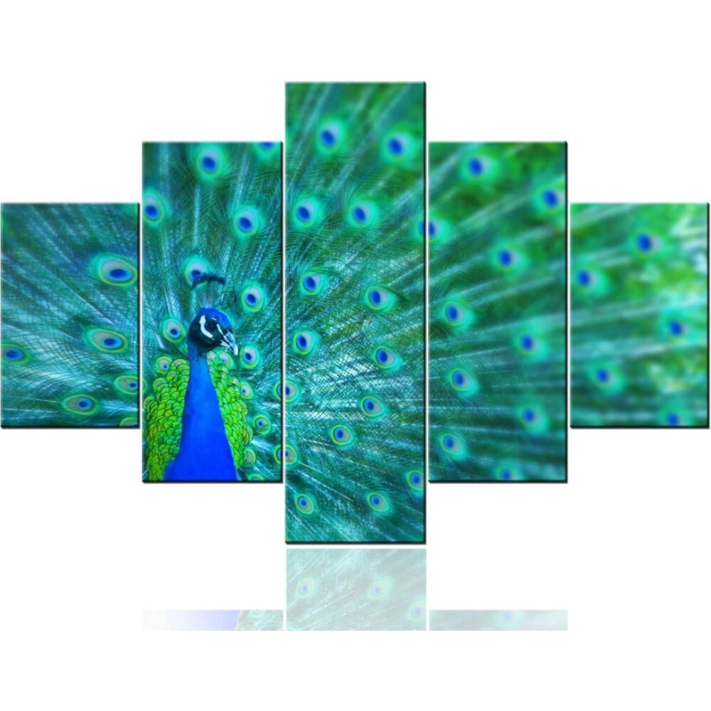 TISHIRON 5PCS Framed Animal Canvas Wall Art Set,60"x40" Peacock ...