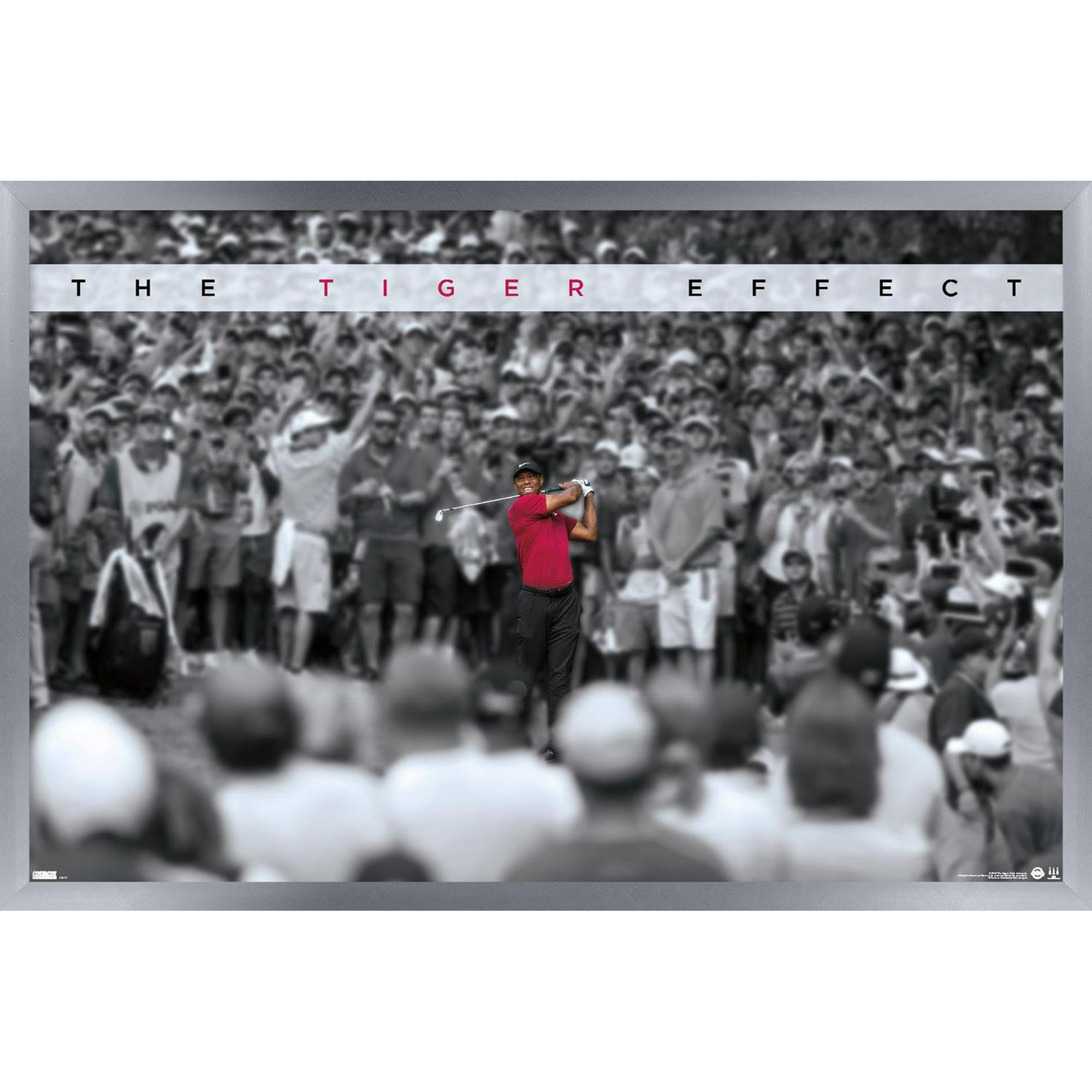 Click here for Trends International Tiger Woods - The Tiger Effec... prices