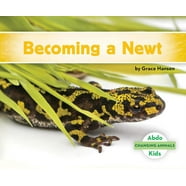 Kindergators: Hands Off, Harry! (Hardcover) - Walmart.com