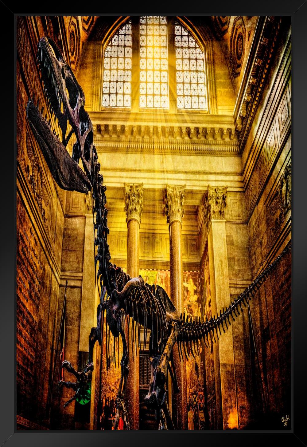 At The Museum by Chris Lord Photo Bones Dinosaur Poster For Kids Room ...