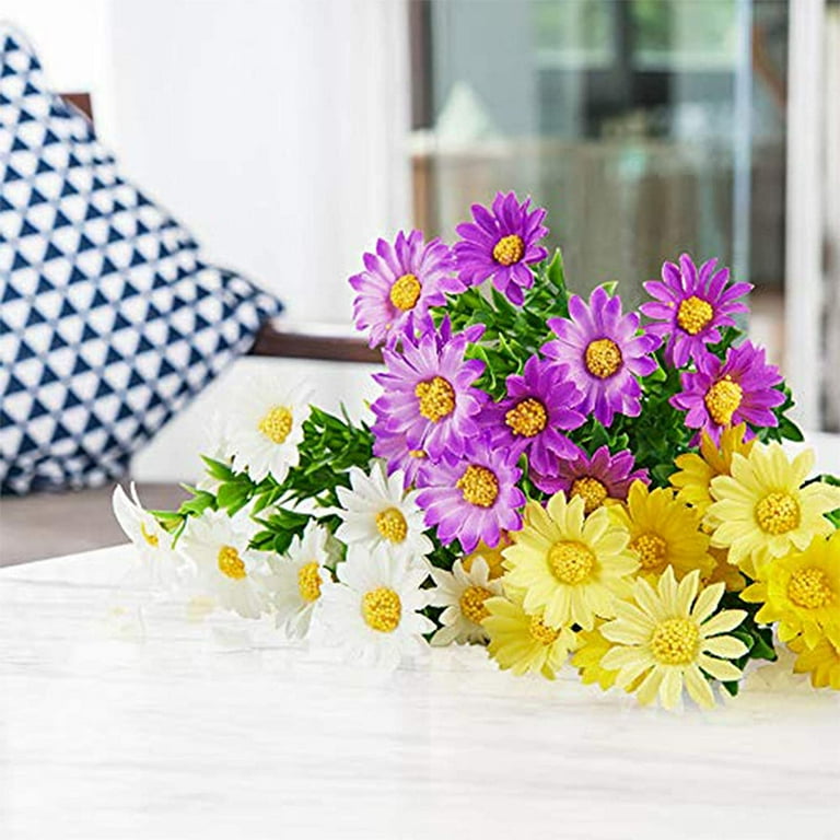 Multi Colored Daisy Flowers | Best Flower Site
