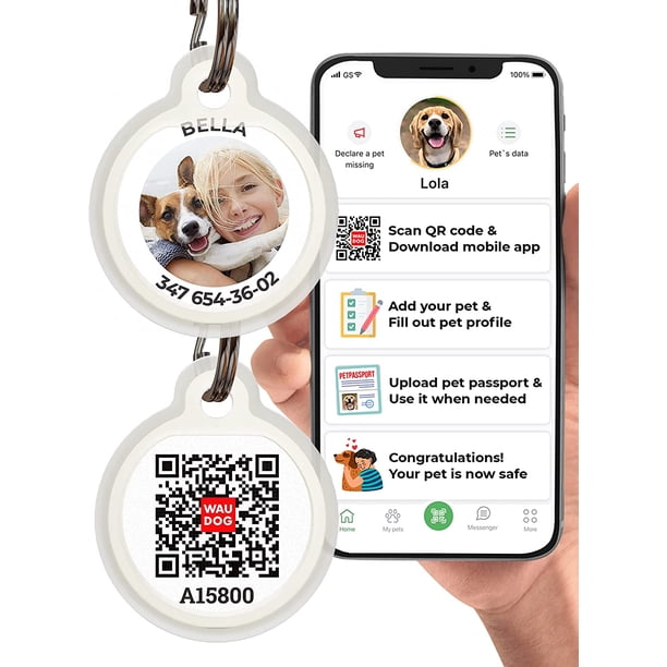 ZMLEVE Personalized Pet ID Tag for Dogs & Cats with Pet Search System ...