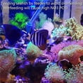 Coral Feeder Long Syringe, 2 Units, SPS HPS Marine Reef Coral Feeder ...