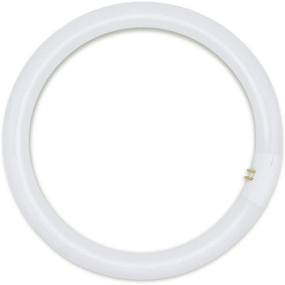 Circline Fluorescent Bulbs