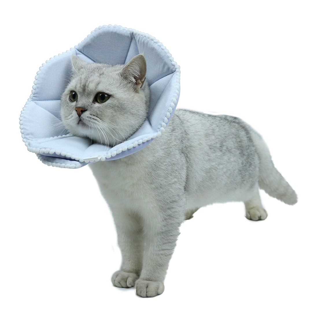 WZ PET Soft Cat Recovery Collar,Adjustable Dog Cat Cone,Dog Protective ...