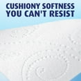 Charmin, Toilet Paper, Mega Rolls, 12 Count = 48 Regular Rolls ...