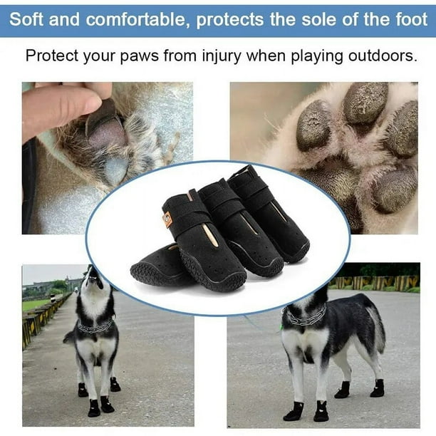 Pet booties store