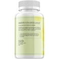 VivoGut Capsules – Vivo Gut Pills Digestive Support, Gut Wellness, 5 ...