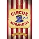 Circus Mirandus (Hardcover) - Walmart.com