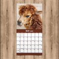 2020 Llamas Mini Calendar - Walmart.com