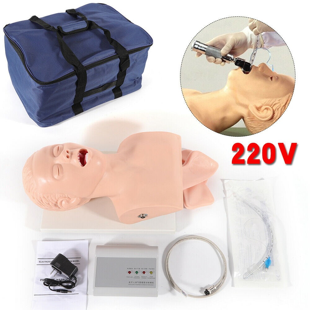 Anqidi PVC Intubation Manikin Study Teaching Model, Adult Oral Nasal ...