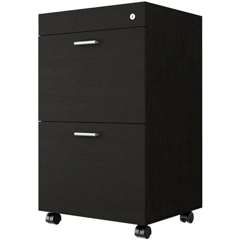 RST Brands Holbrook MDF 2-Drawer Filing Cabinet in Black Veneer ...
