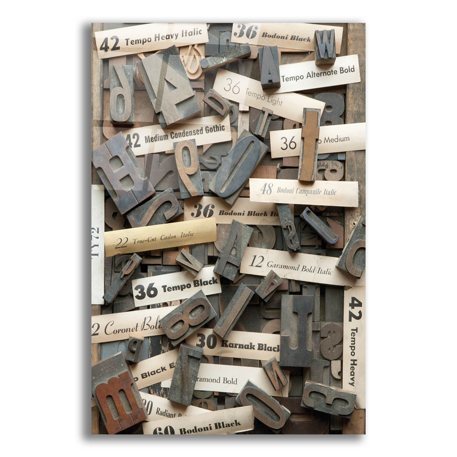 Epic Art 'Typography Photography 10' by Holli Conger, Acrylic Glass ...