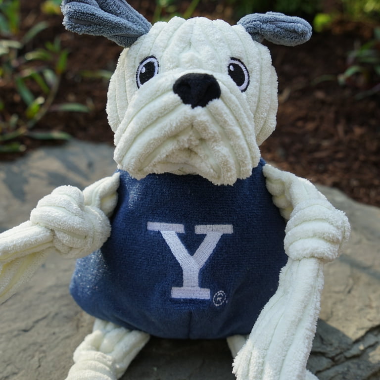 Yale University Mascot