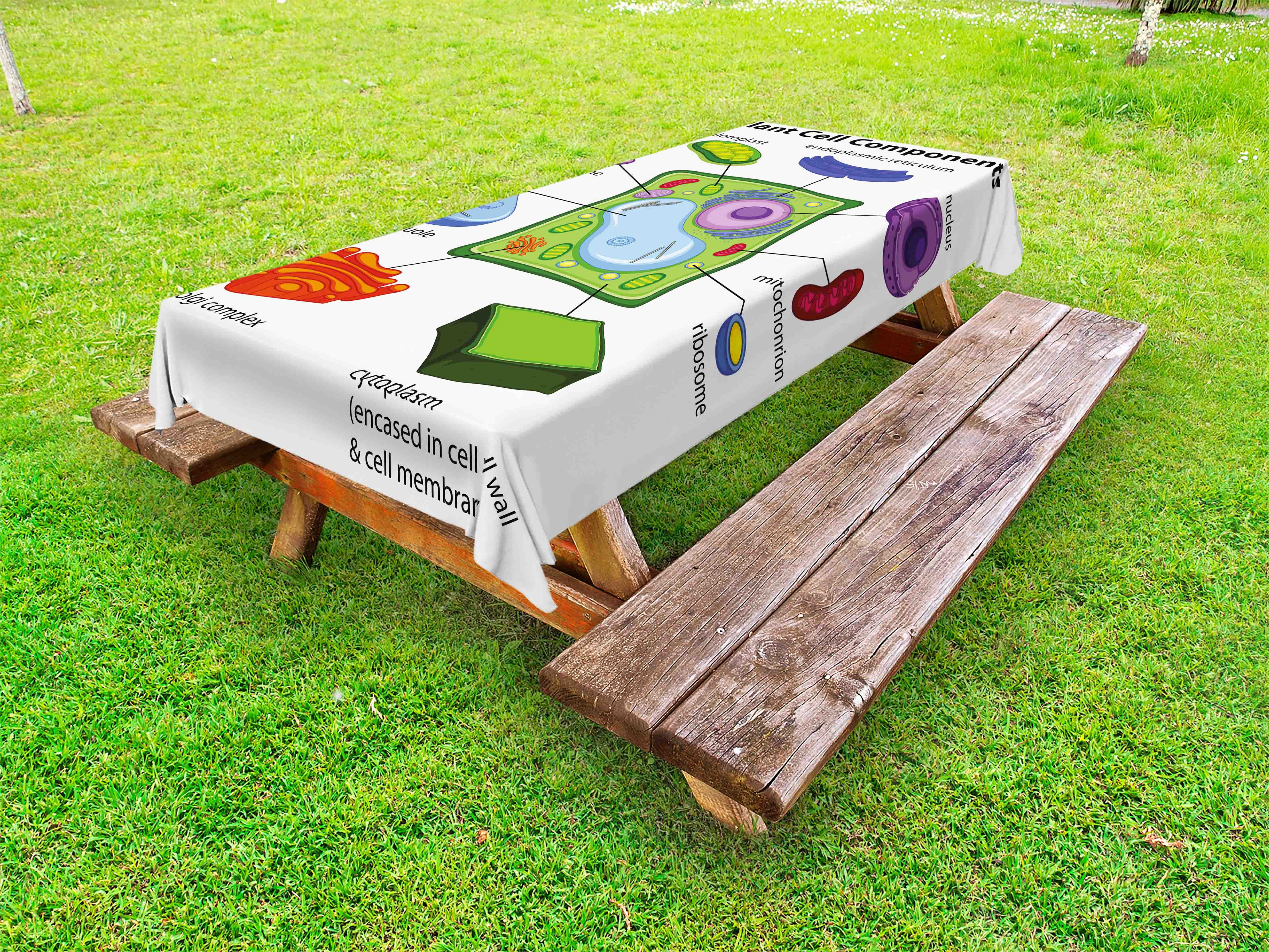 Educational Outdoor Tablecloth, Chart Showing Plant Cell Components in ...