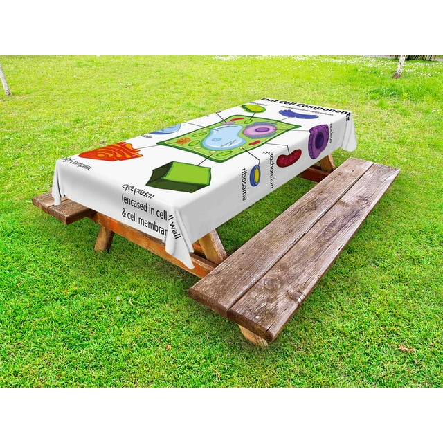 Educational Outdoor Tablecloth, Chart Showing Plant Cell Components in ...