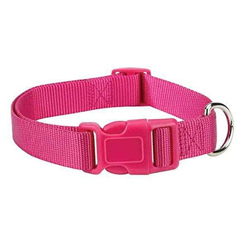 Brite Color Nylon Collars for Dogs - 11 Fun Colors 4 Sizes Bright Dog ...