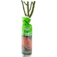 Expert Gardener Dormant Packaged Garden Rose Shrub with Fragrant Blooms ...