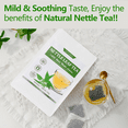 ULTHMOK, Stinging Nettle Leaf Tea Bags, 100 Count, Caffeine-Free Herbal ...